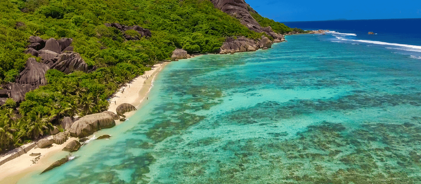 Indian Ocean Vanilla Islands: a cruise season marked by dynamism ...