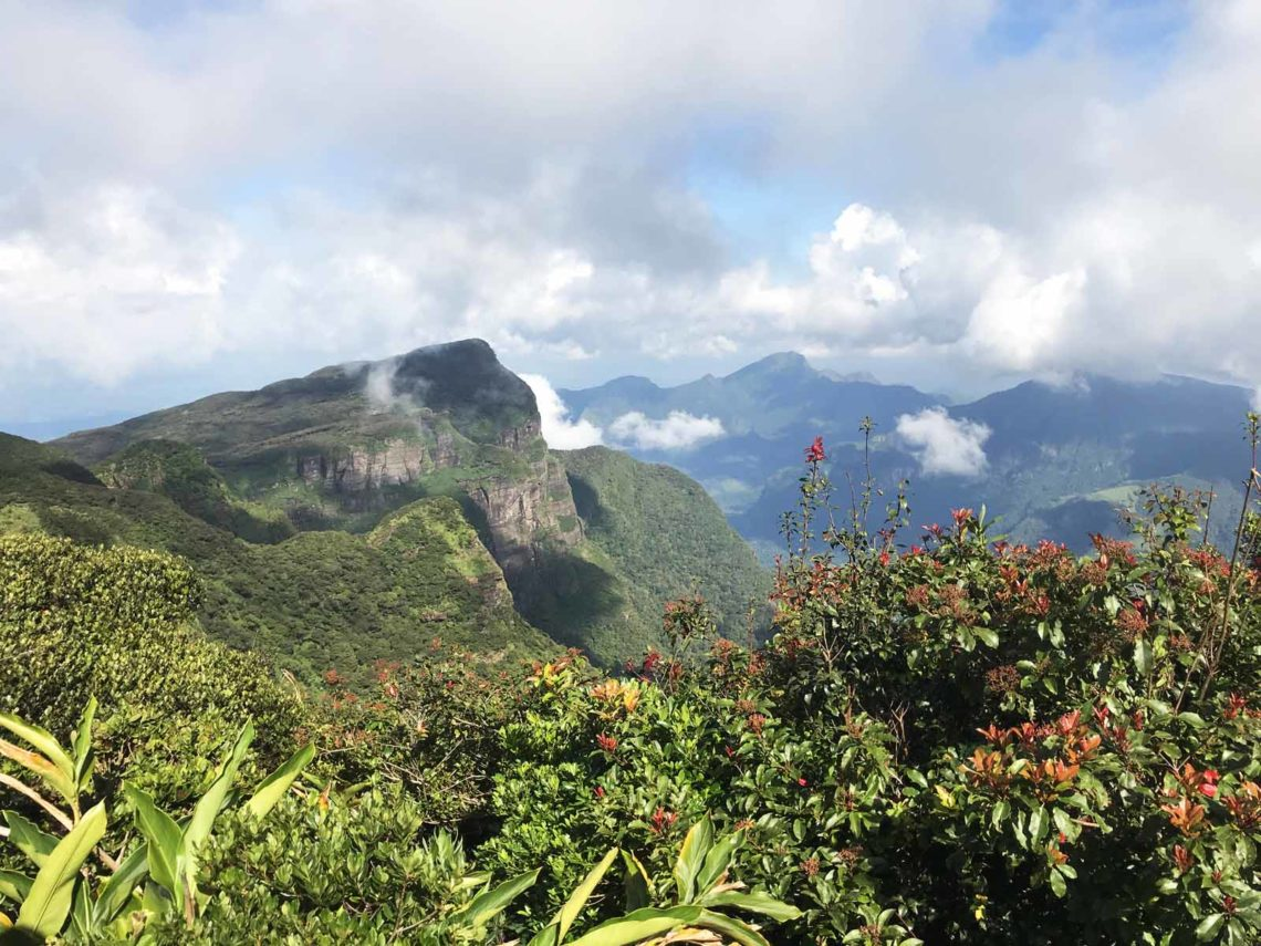 Knuckles Forest: 2 days of hiking in the Sri Lankan forest - Indian ...